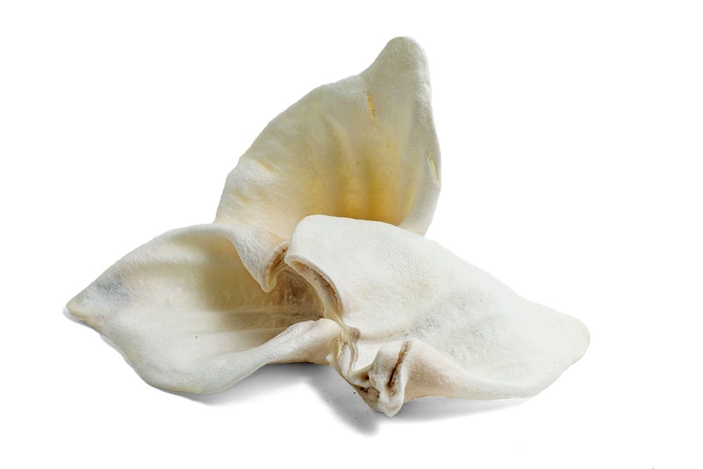 Nova Paddock Farm Puffed Pigs Ear – Simply Pets
